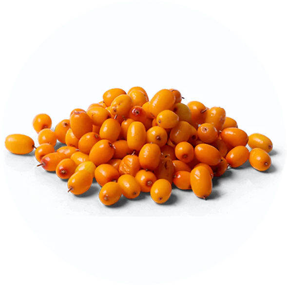 STEMREGEN® Release – Clinically Tested Plant-Based Stem Cell Booster ...