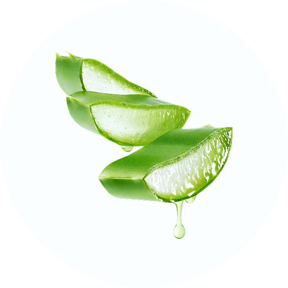 STEMREGEN® Release – Clinically Tested Plant-Based Stem Cell Booster ...