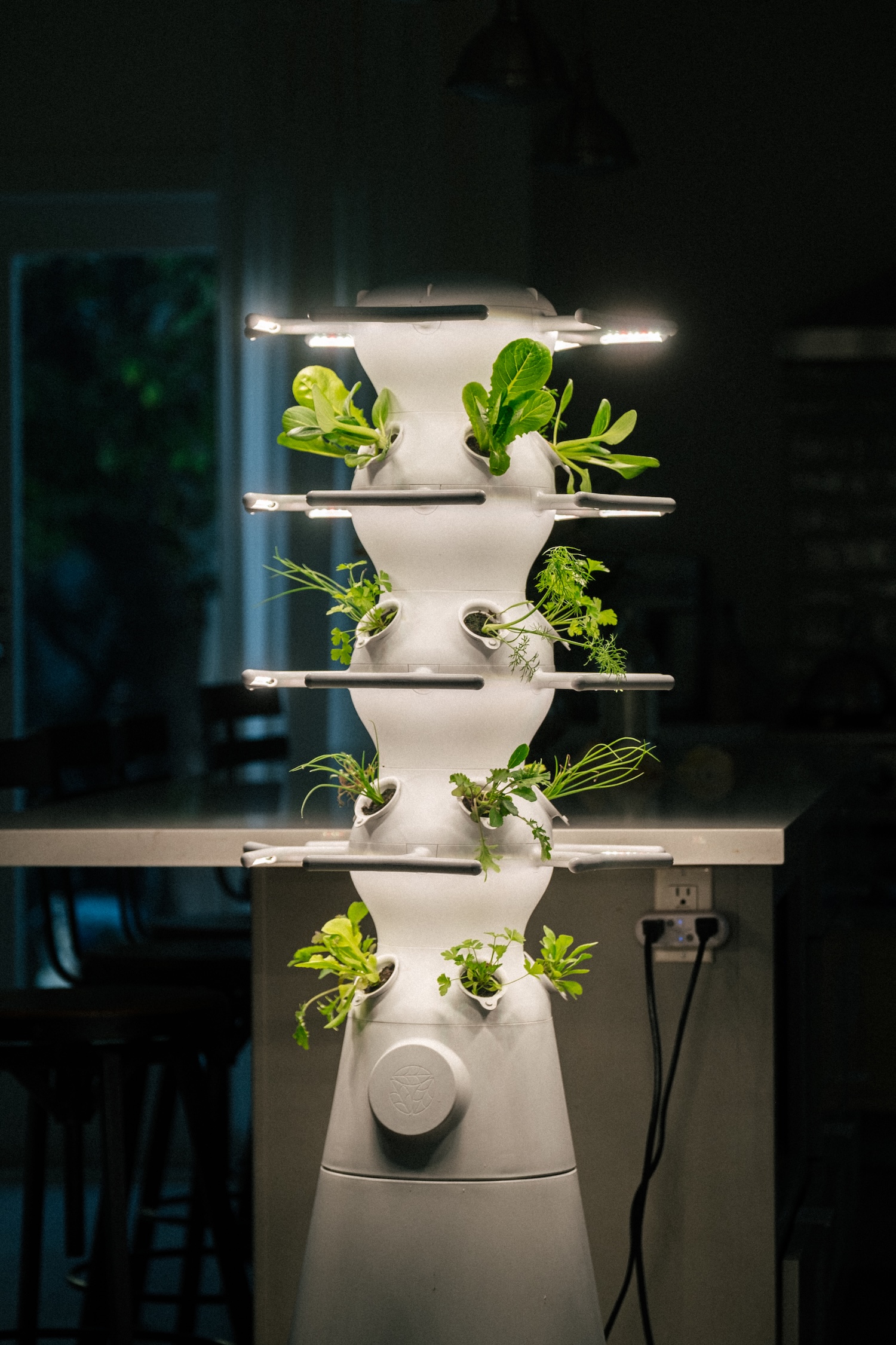 How I Started Growing Fresh Food in my Apartment
