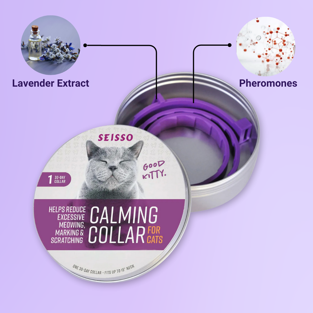 7 Reasons Why Cat Owners Need This Calming Collar To Stop Their Cat’s ...