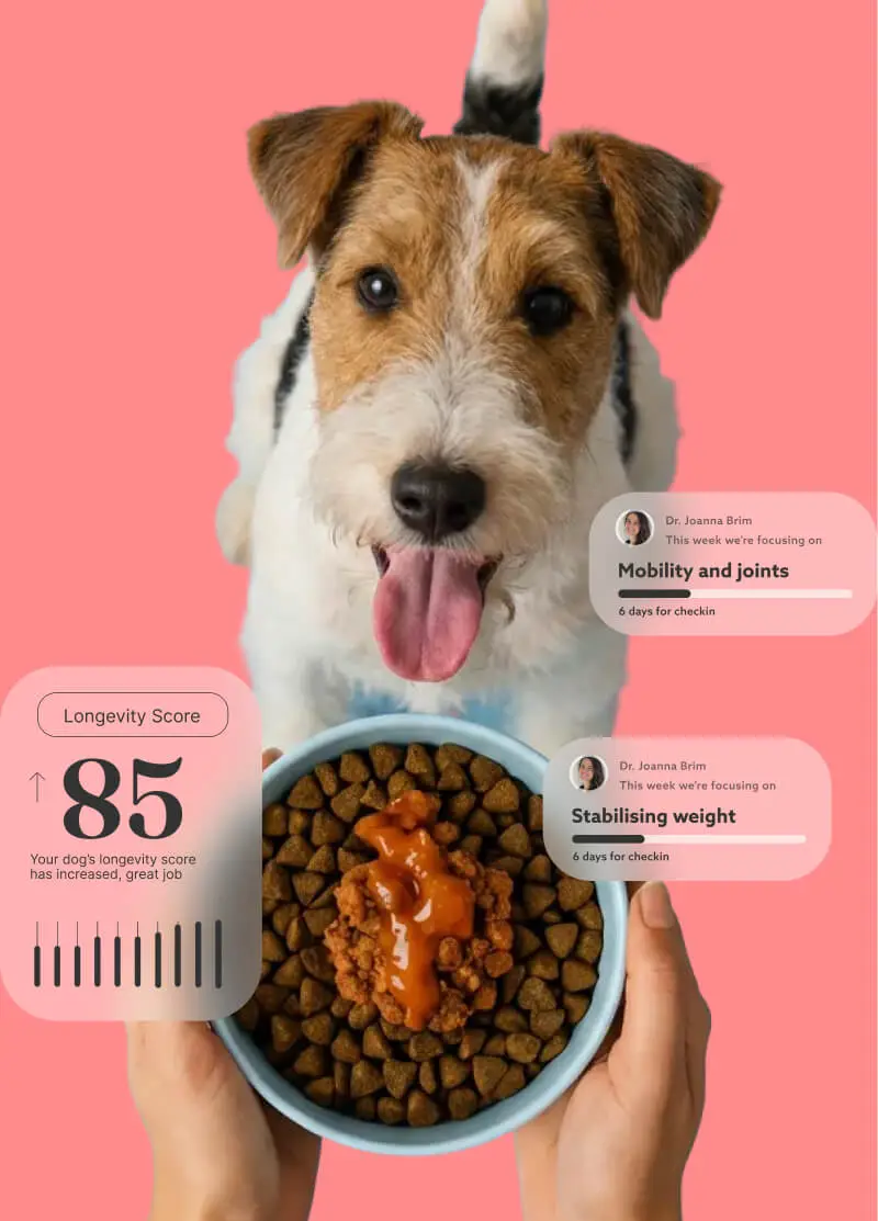 30-Day Fresh Challenge – Barkyn