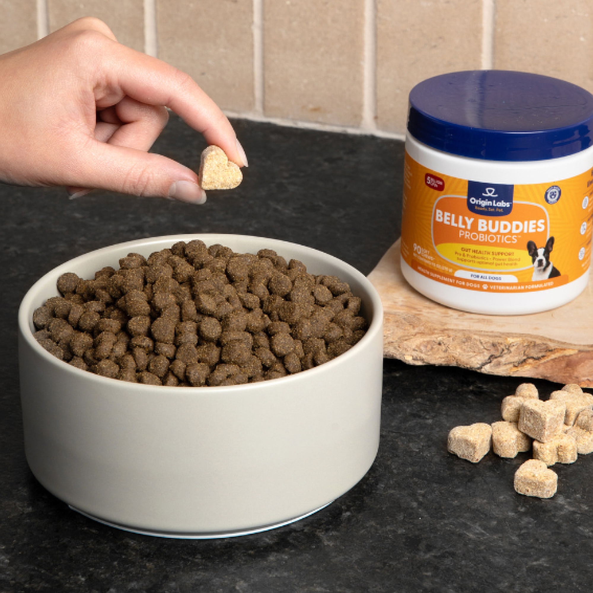 3 Reasons Gut Health Matters for Dogs | Belly Buddies by Origin Labs