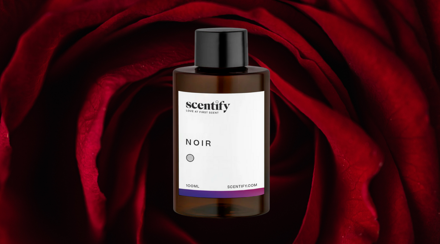 NOV 2025 | Top 5 scents – Scentify