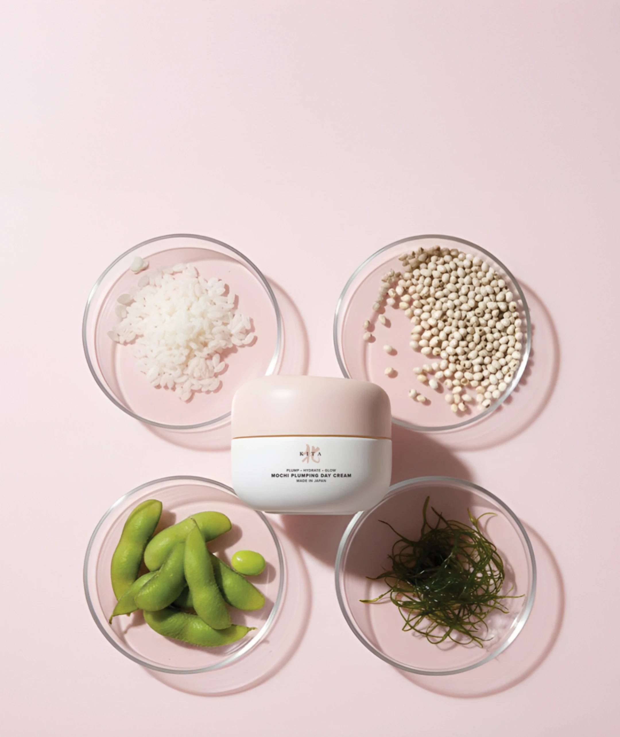 Algae Firming Night Cream – Kita Skin